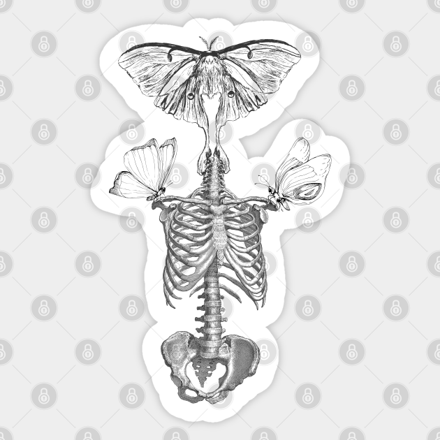 Butterfly skeleton - Skeleton - Sticker | TeePublic