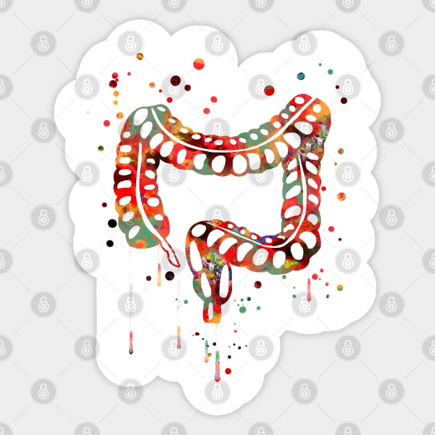 Lower gastrointestinal tract - Anatomy - Sticker | TeePublic