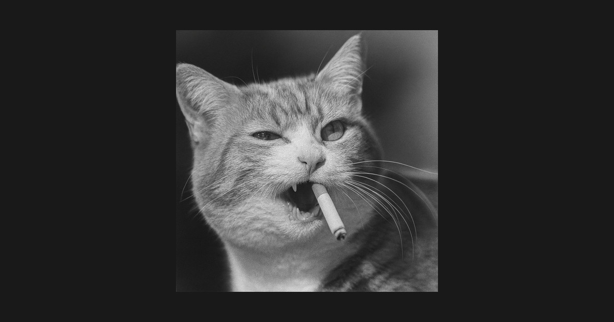 Cat Smoking Cigarette - Cat Smoking - T-Shirt | TeePublic