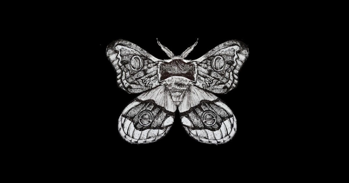 Pen and Ink Moth - Moth - Sticker | TeePublic