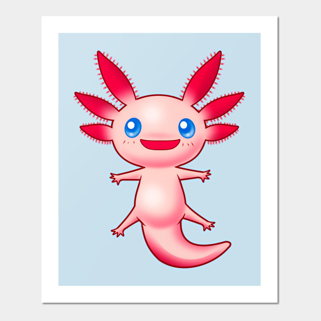 Axolotl - Axolotl - Posters and Art Prints | TeePublic
