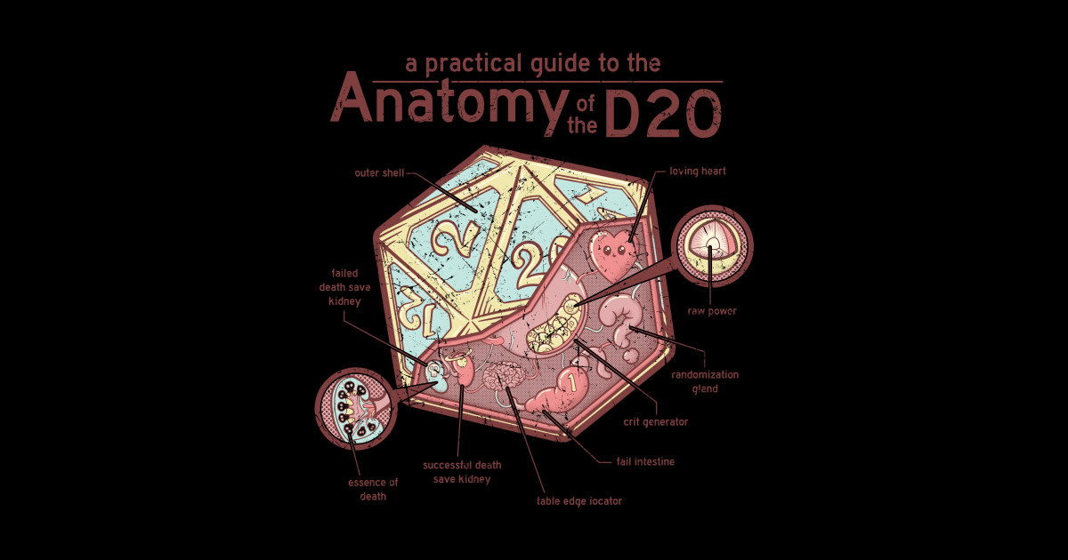 Anatomy of the D20 - Dnd - Posters and Art Prints | TeePublic
