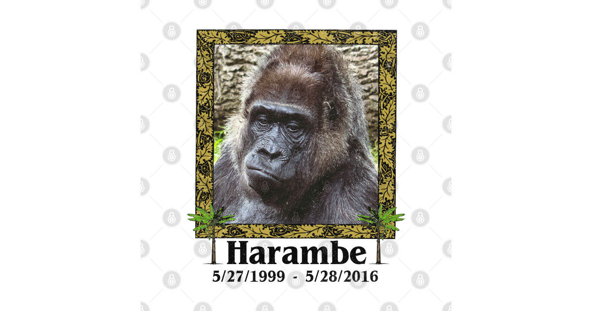 Harambe Memorial We Love You Rest In Peace - Harambe - T-Shirt | TeePublic