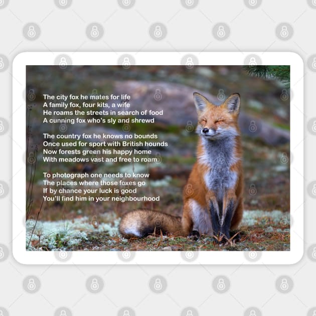 A Red Fox Poem - Red Fox - Sticker | TeePublic