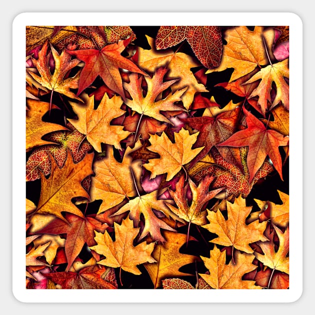 Fall Leaves - Fall - Sticker | TeePublic