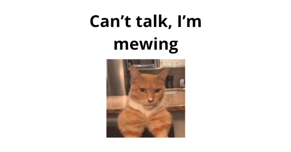 Can't talk I'm mewing meme looksmax cat quote funny chad - Meme - T ...