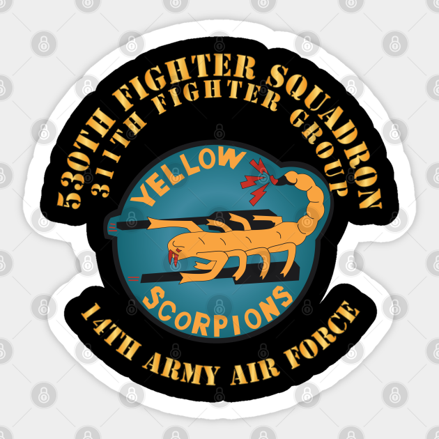 530th Fighter Squadron 311th Fighter Group 14th Army Air Force X 300 ...