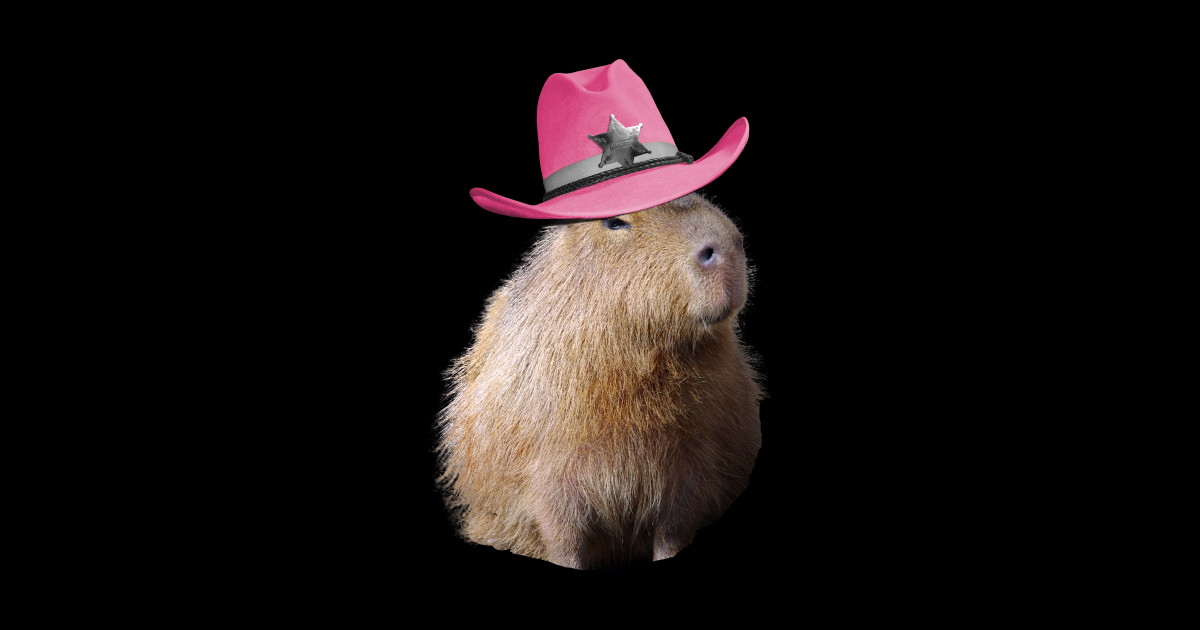 Capybara Wearing Pink Cowboy Hat - Capybara Wearing Pink Cowboy Hat ...