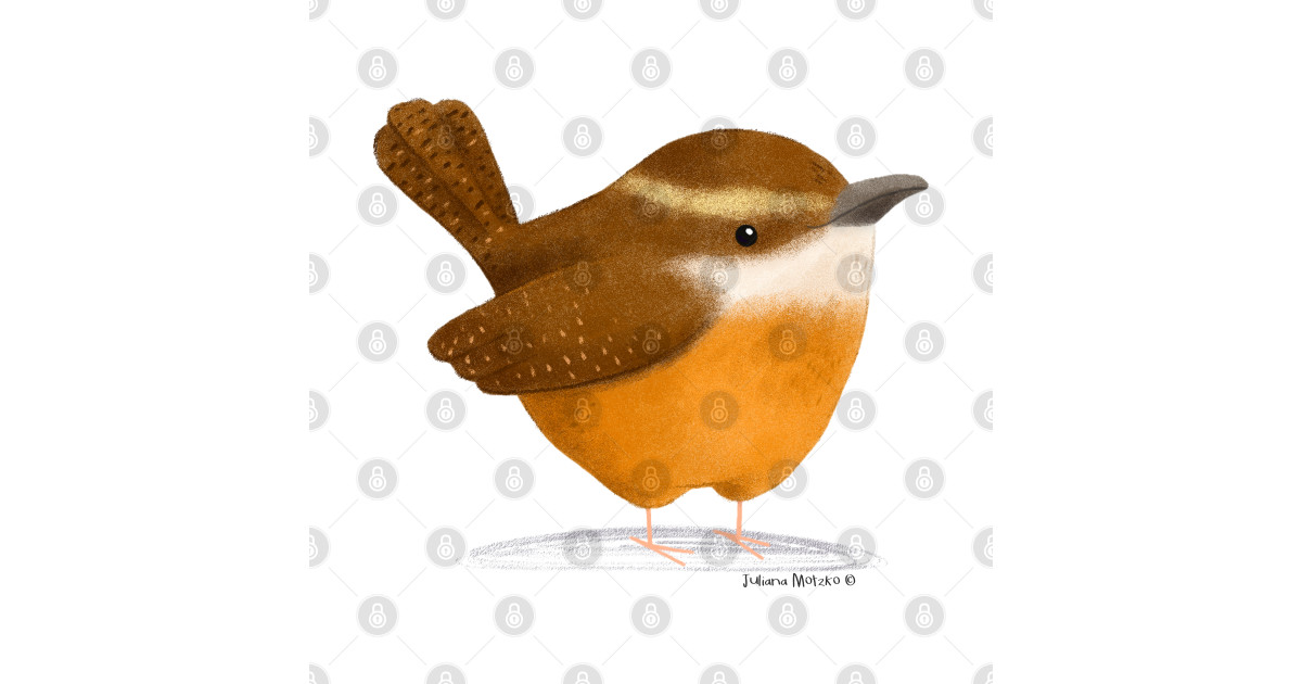 Carolina Wren Bird - Wren - T-Shirt | TeePublic