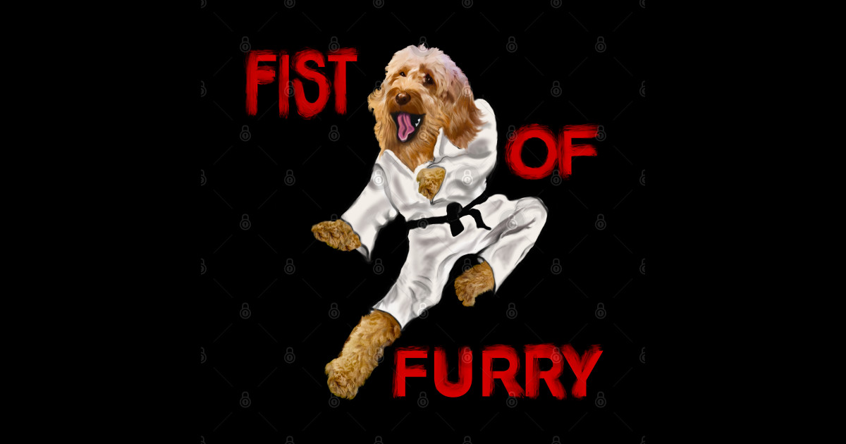 Cavapoo Fists of furry starring Kong fu Cava - Karate - martial arts ...