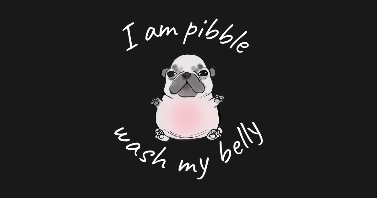 48 I Am Pibble Wash My Belly Pibble Meme Funny Dog Brainrot T-Shirt ...