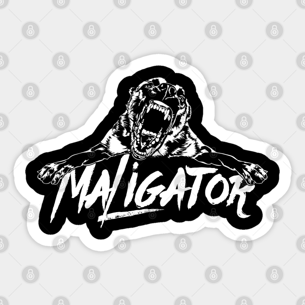 Funny Belgian Malinois Maligator dog portrait - Belgian Malinois ...