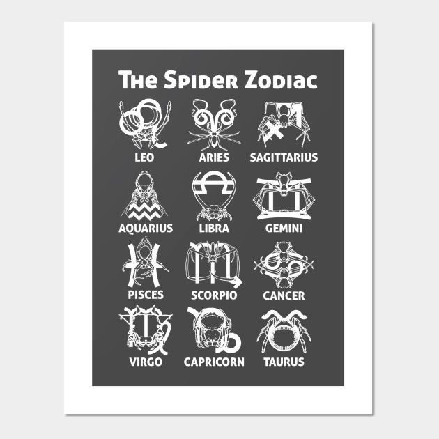 The Spider Zodiac - Astrology Chart - Posters and Art Prints | TeePublic