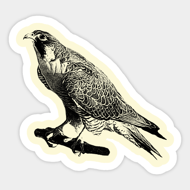 Falcon - Falcon - Sticker | TeePublic