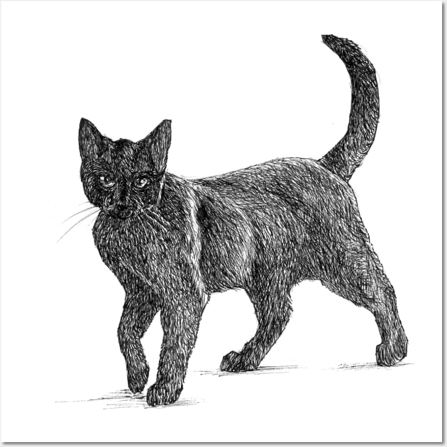 how to draw cat prints