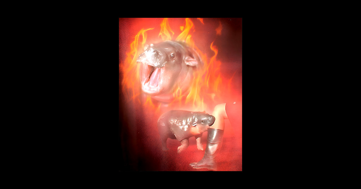 Moo Deng Bouncy Pig in Thai Fire Picture The Cute Baby Hippo - The Cute ...