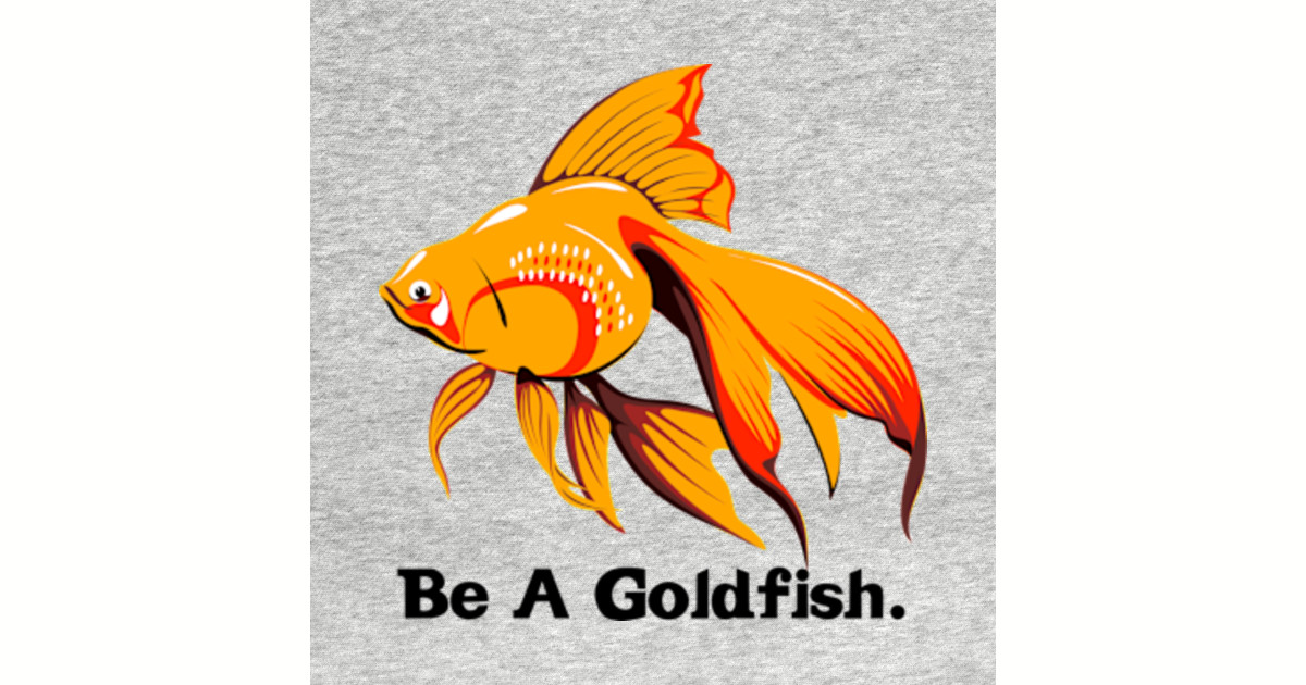 Be A Goldfish - Be A Goldfish - Sticker | TeePublic