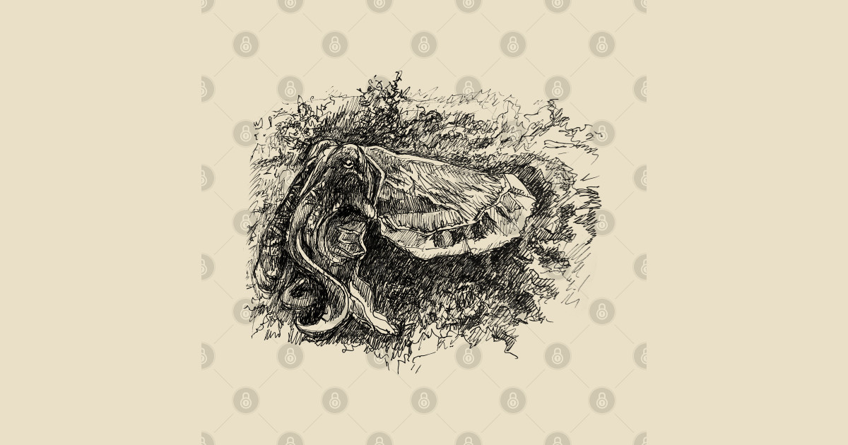 Giant Cuttlefish ink drawing - Cuttlefish Ocean Animal Art - T-Shirt ...