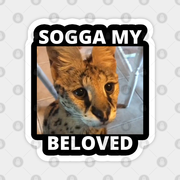 Sogga My Beloved Serval Meme Cat Meme - Sogga My Beloved - Magnet ...