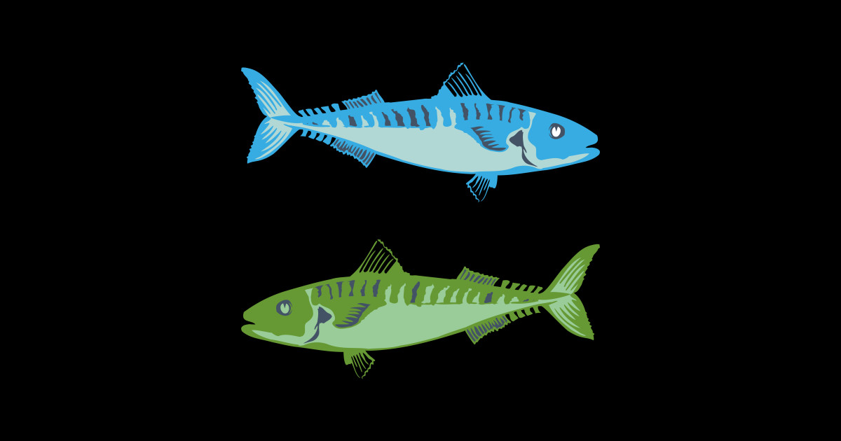 barracuda fish color - Barracuda Fish Color - Posters and Art Prints ...