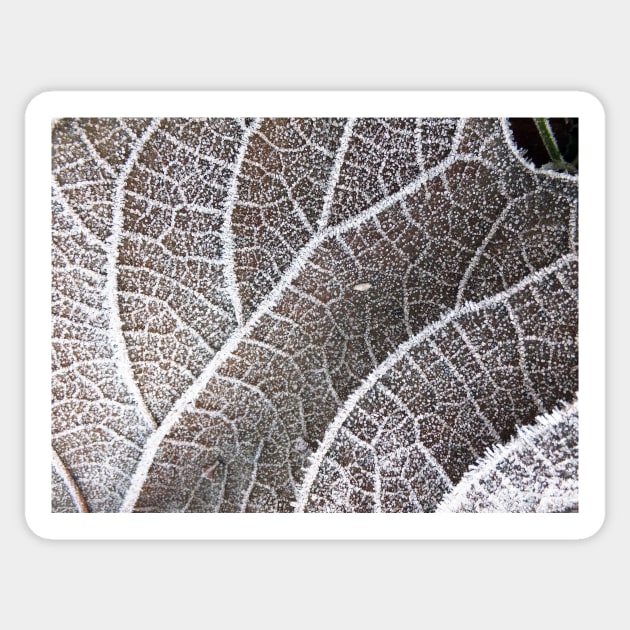 Frosted Leaf Texture - Abstract - Sticker | TeePublic