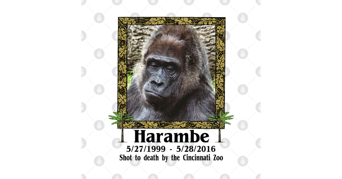 Harambe Memorial - Harambe - T-Shirt | TeePublic