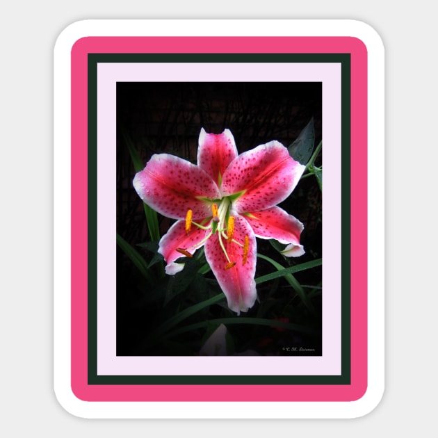 Pink Day Lily - Nature Photography - Sticker | TeePublic