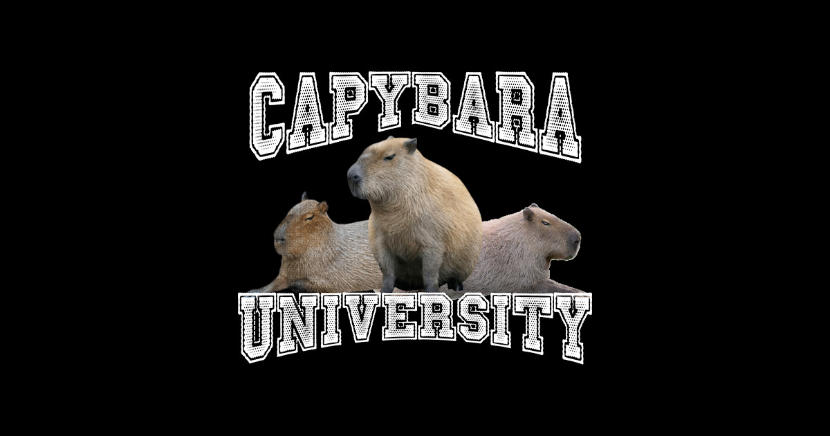 Capybara University - Capybara - Sticker | TeePublic