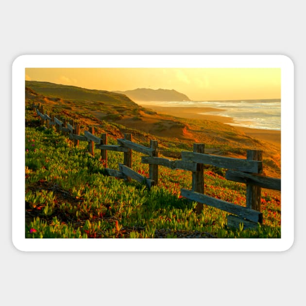 Point Reyes Golden Glow - Point Reyes - Sticker | TeePublic