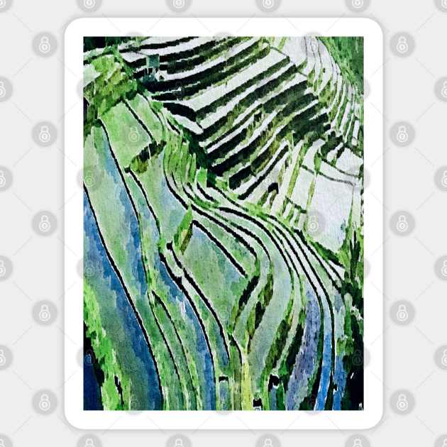 rice field Terrace - Rice Field - Sticker | TeePublic