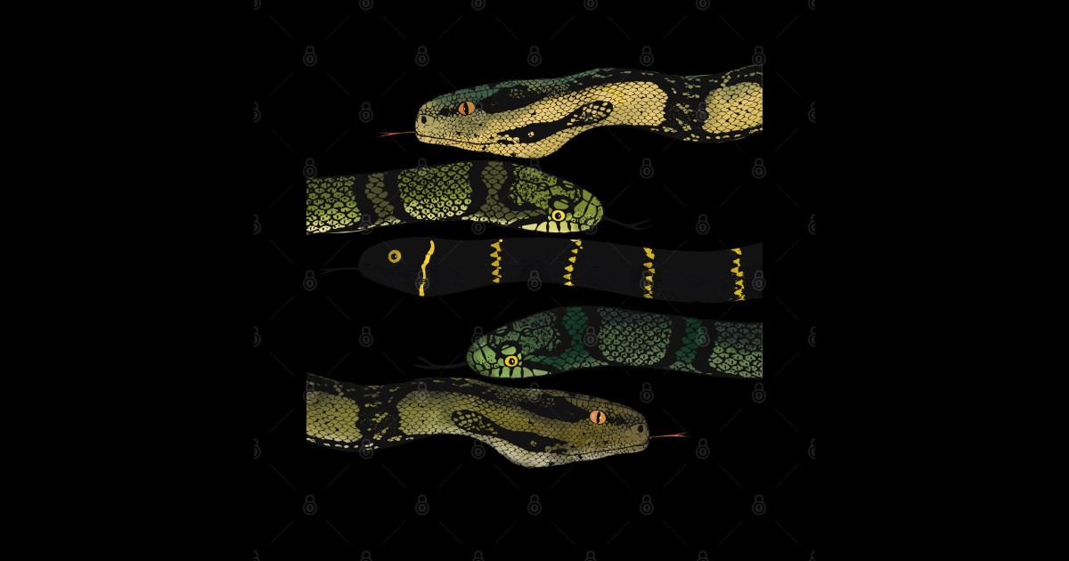 Snakes - Snake - Sticker | TeePublic