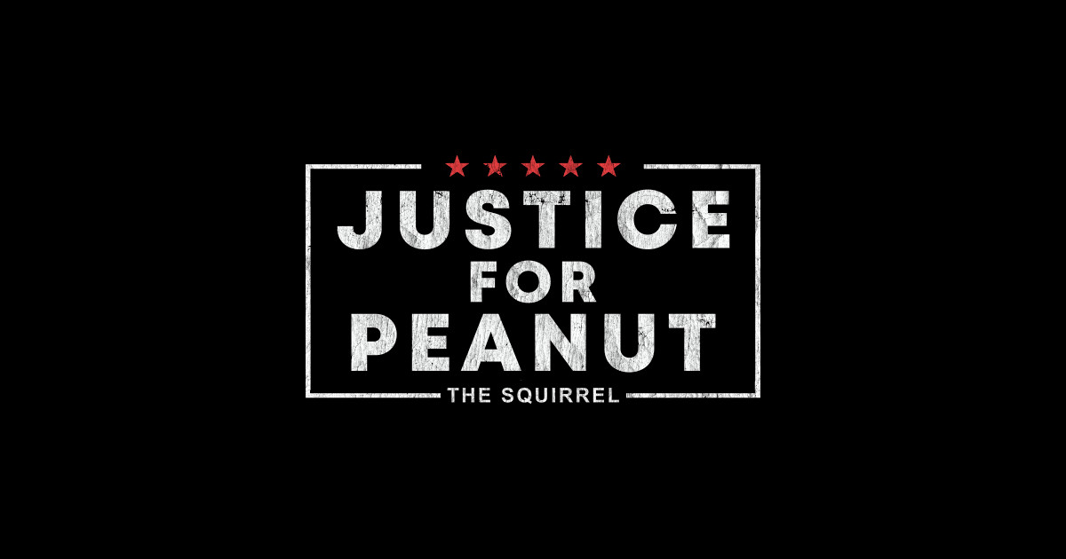 Justice For Peanut The Squirrel - Justice For Peanut - Sticker | TeePublic