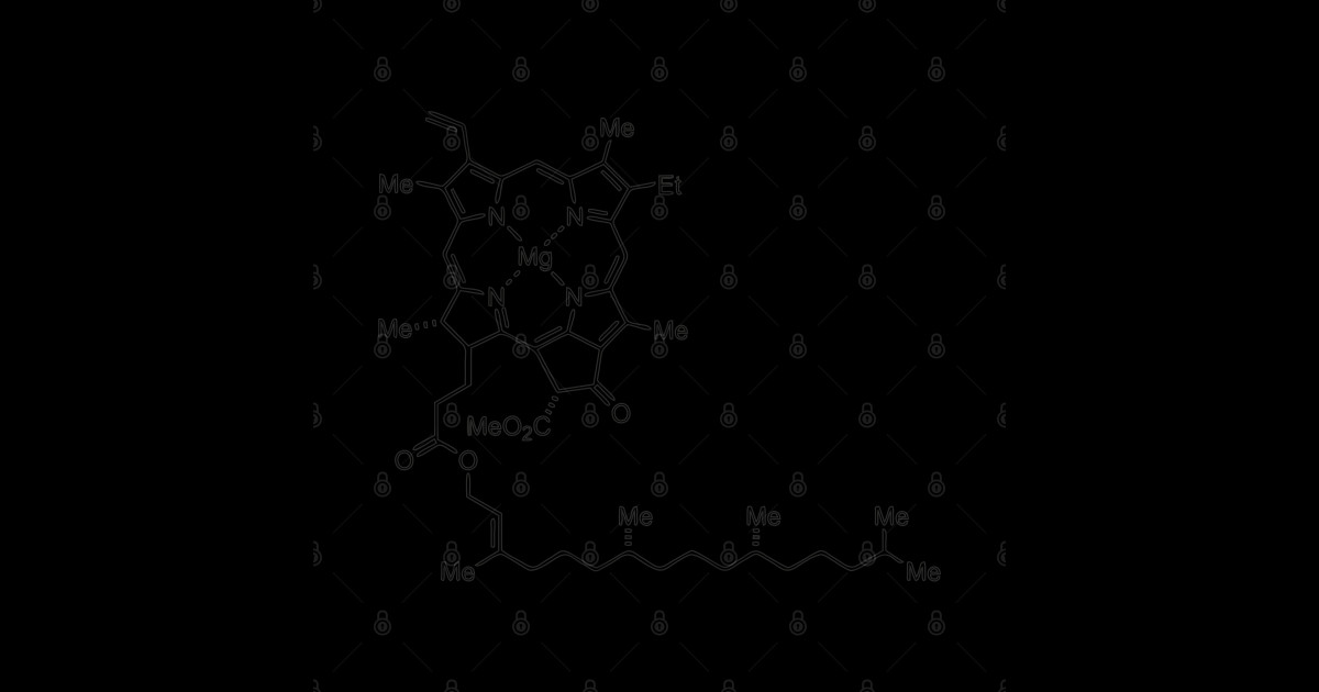Chlorophyll - Chlorophyll - Sticker | TeePublic
