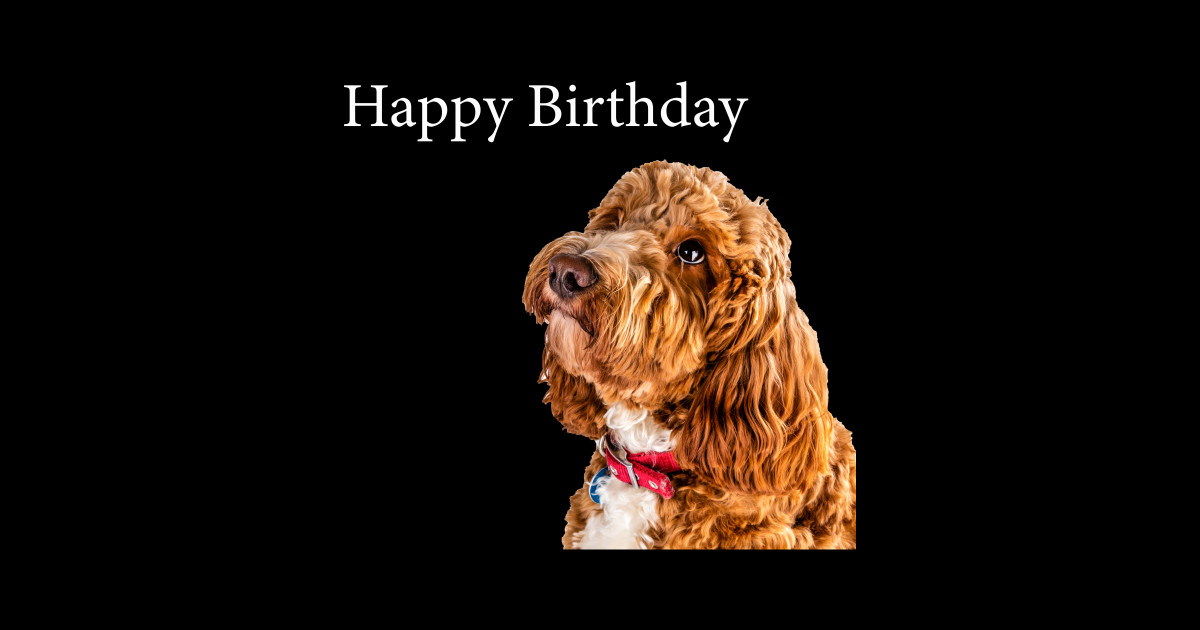 Cockapoo Happy birthday - Paul Thompson Photography - T-Shirt | TeePublic