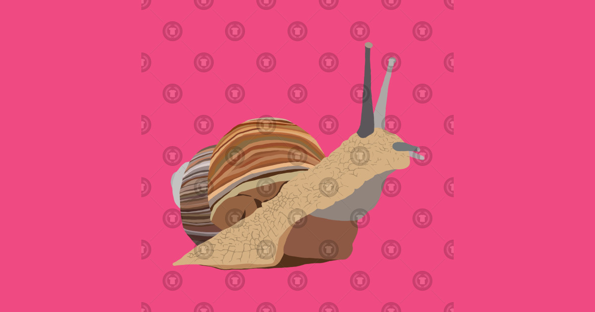 snail - Snail - Sticker | TeePublic