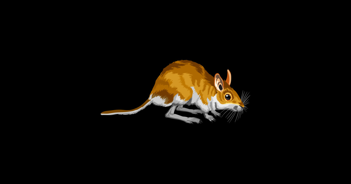 Cute Little Australian Mouse Rodent Animals - Cute - Sticker | TeePublic