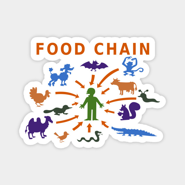 Food chain - Simpsons - Magnet | TeePublic