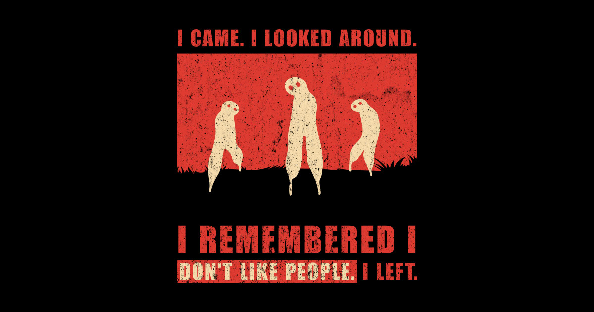 I Came Looked Around Remembered Don't Like People Retro - Introvert ...