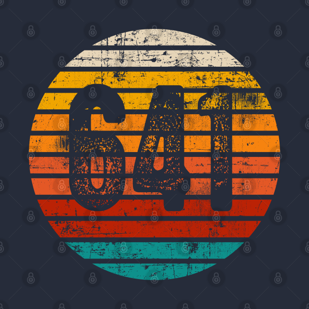 Distressed Vintage Sunset 641 Area Code - 641 Area Code - T-Shirt ...