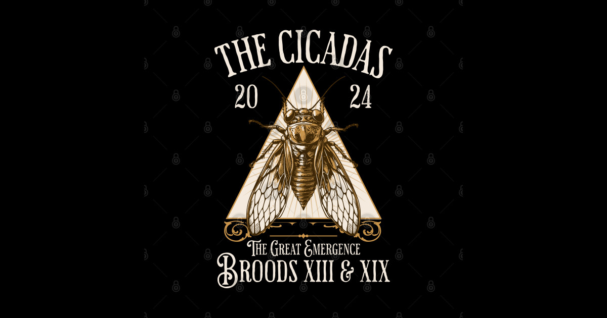 Cicadas 2024 - Brood XIX Brood XIII - Funny Cicada Lover - Cicadas 2024 ...