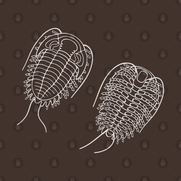 White Line Drawing of Phacopid Trilobite - Trilobite - Pin | TeePublic