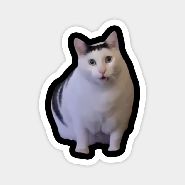 huh cat meme - Cat Meme - Magnet | TeePublic