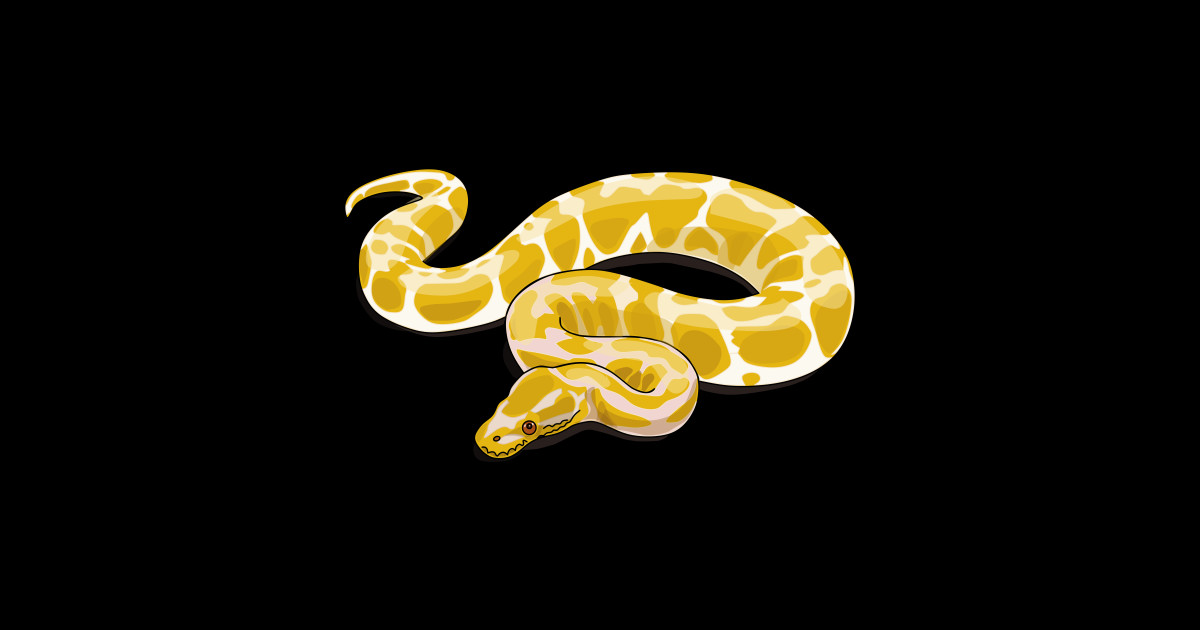 Burmese python snake cartoon illustration - Burmese Python Snake ...