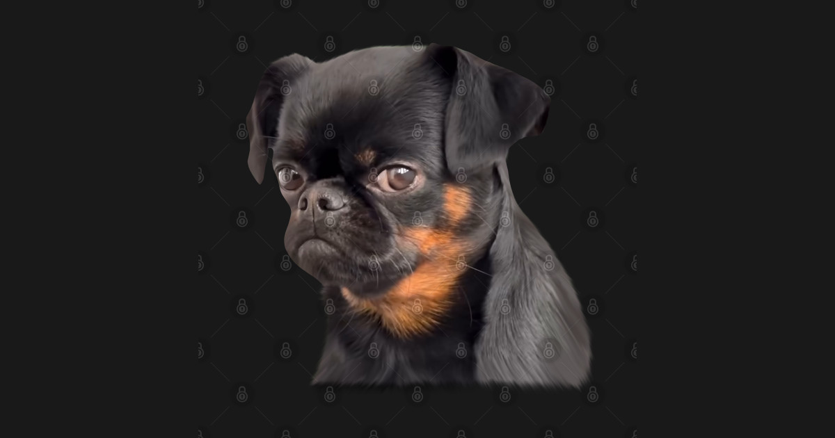 Dog offended face viral meme - Dog Meme - T-Shirt | TeePublic