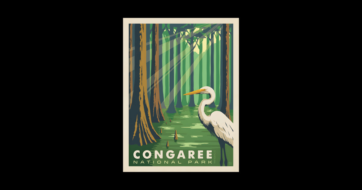 Congaree National Park - Congaree - Sticker | TeePublic