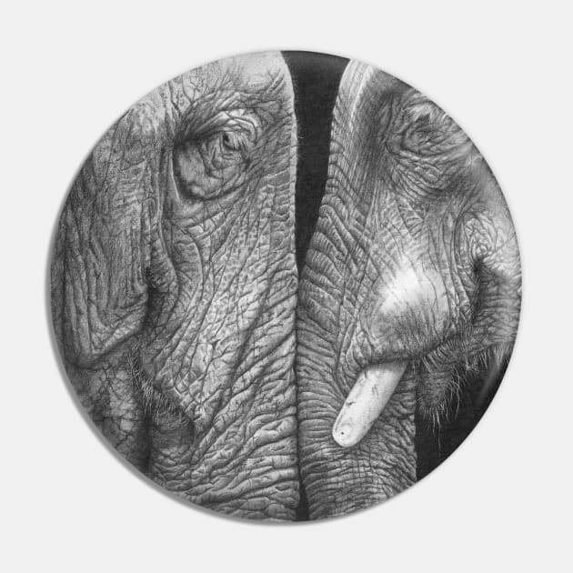 how to draw a realistic elephant eye