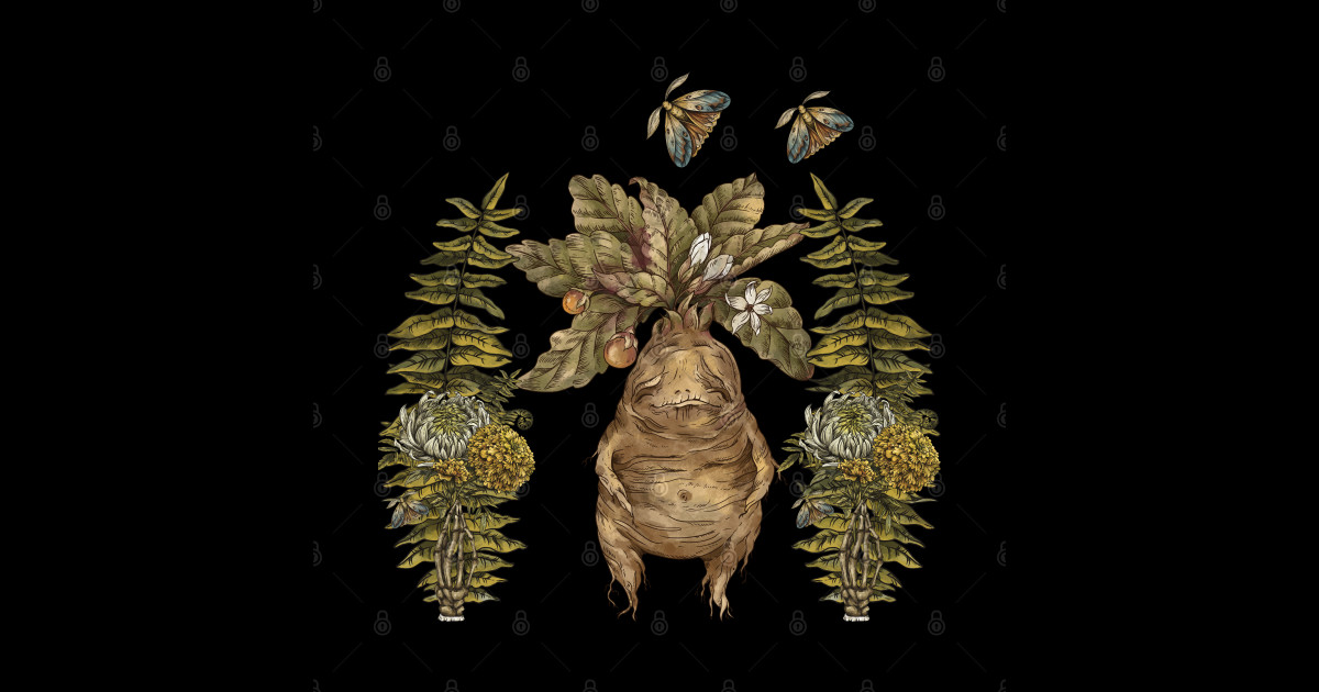 Mandrake Root Mythical Design with Foliage and Moths - Mandrake ...