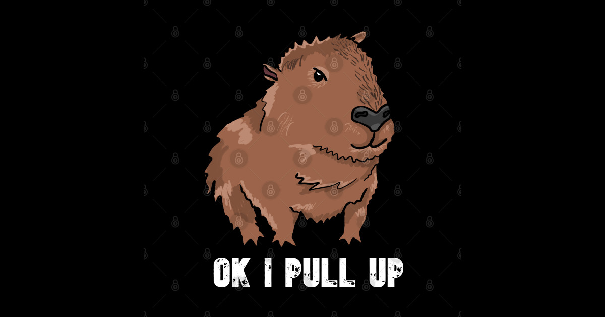 Ok I Pull Up - Capybara Meme - Capybara - Sticker | TeePublic