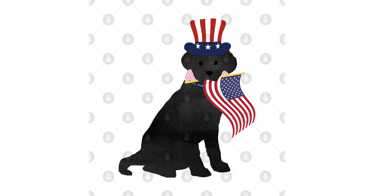 Preppy Patriotic Black Lab - Dogs - T-Shirt | TeePublic