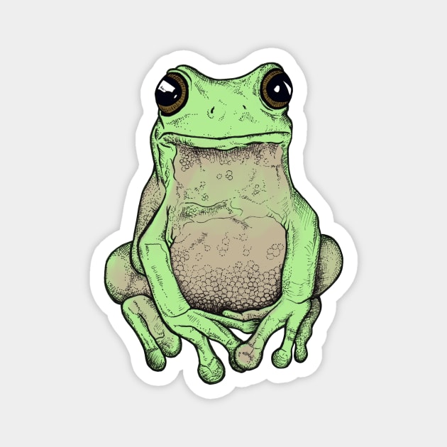 Cute Grumpy Frog - Frog - Magnet | TeePublic